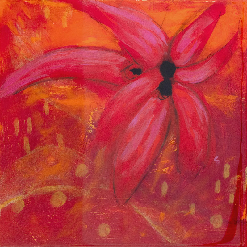 Kakabeak 05 | Sue Mac Dougall Art